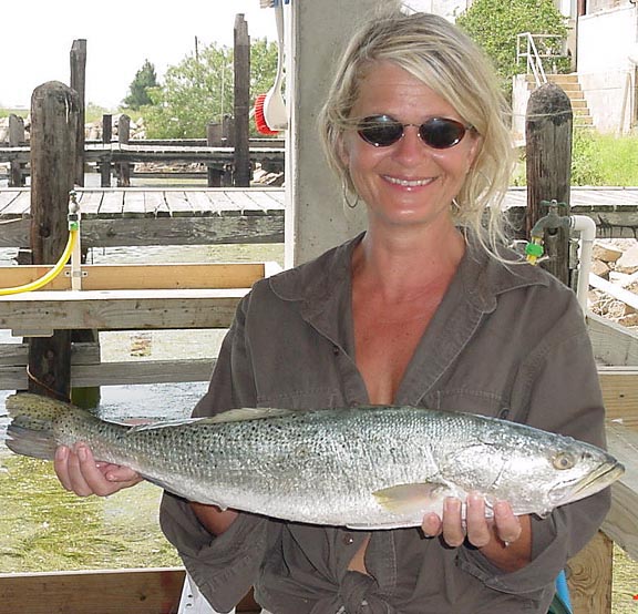 Texas Saltwater Fishing Guide